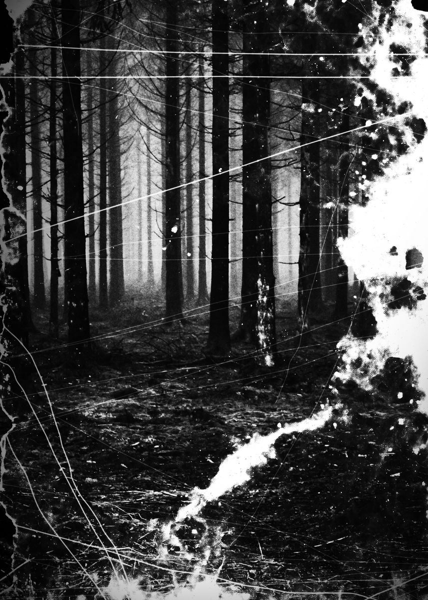 'Faded forest' Poster, picture, metal print, paint by Snisovik Prints ...