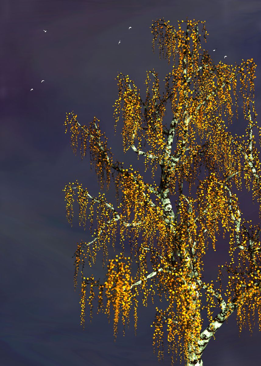 'Silver Birch' Poster by Emma L Kurran | Displate