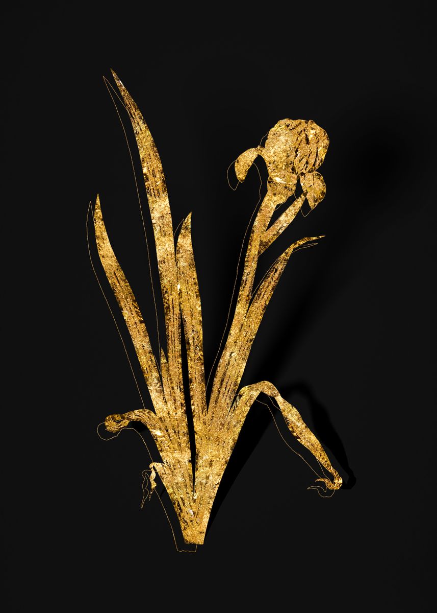 'Gold Botanical on Black' Poster by Holy Rock Design | Displate