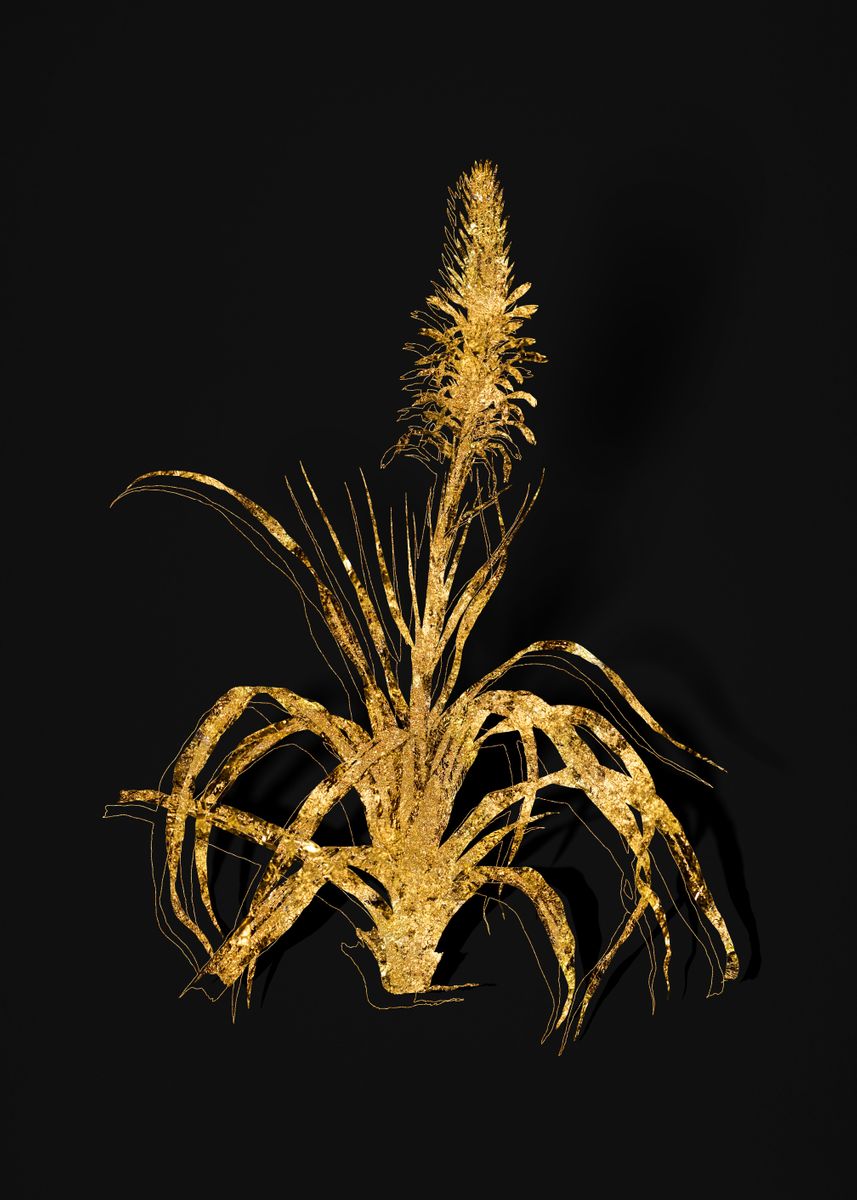 'Gold Botanical on Black' Poster by Holy Rock Design | Displate