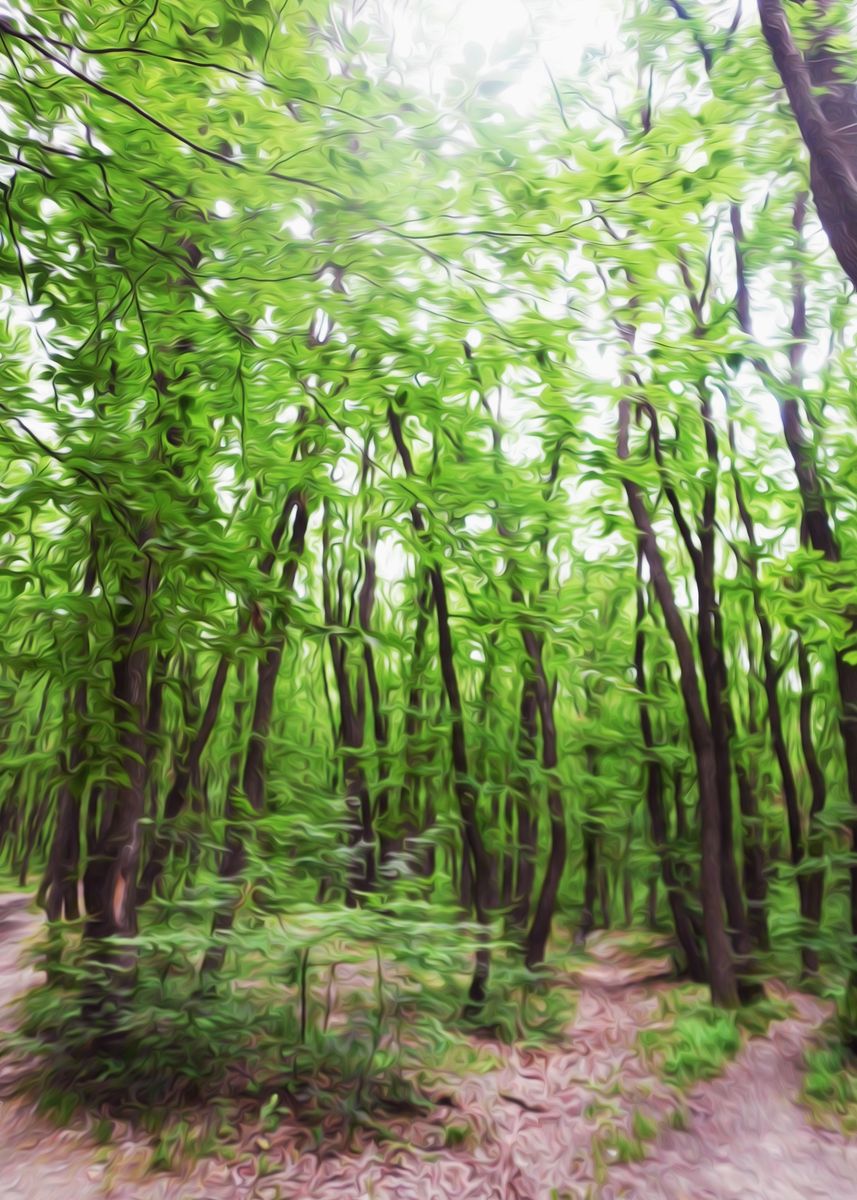 'The forest' Poster by Edy Art Space | Displate