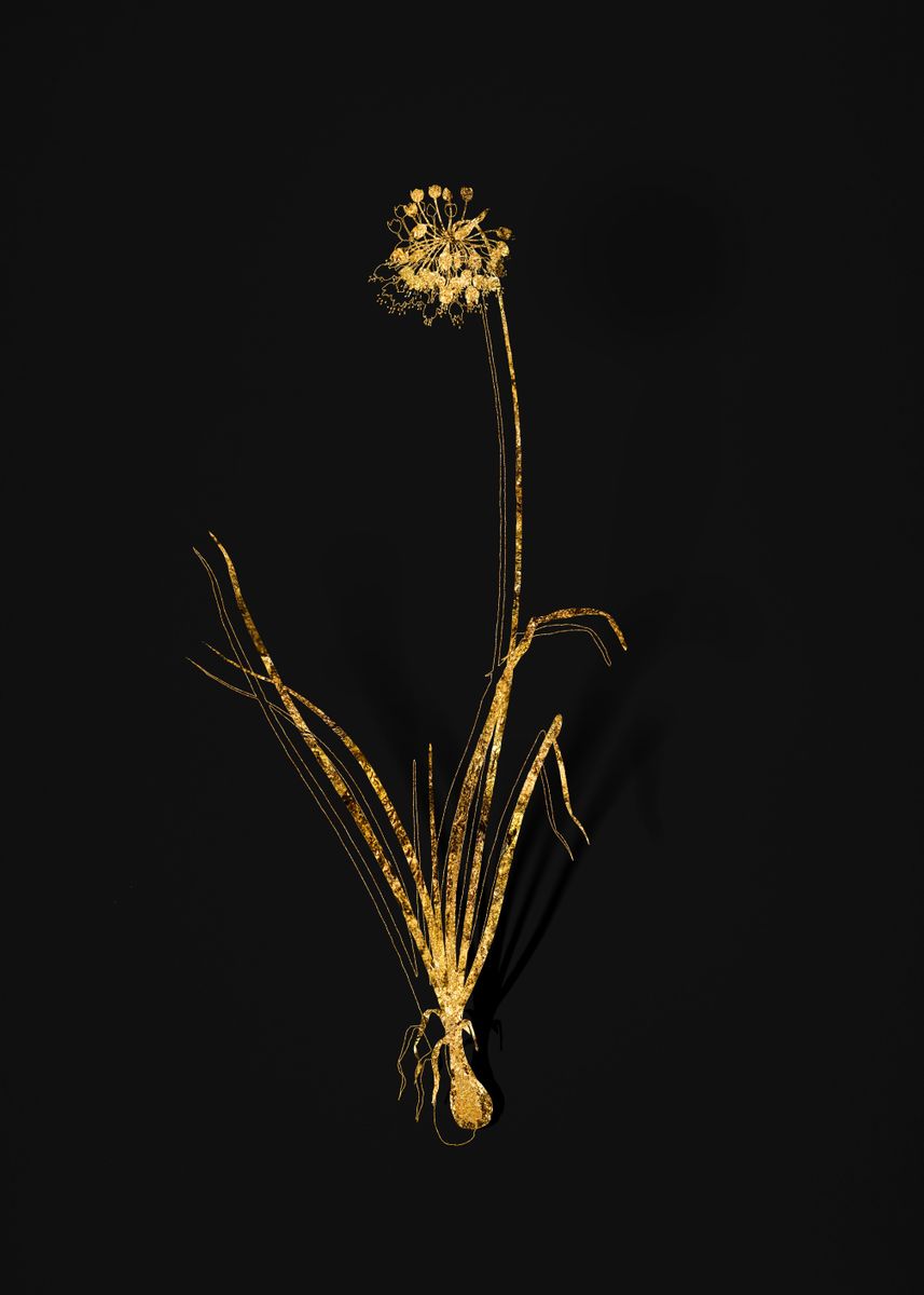 'Gold Botanical on Black' Poster by Holy Rock Design | Displate