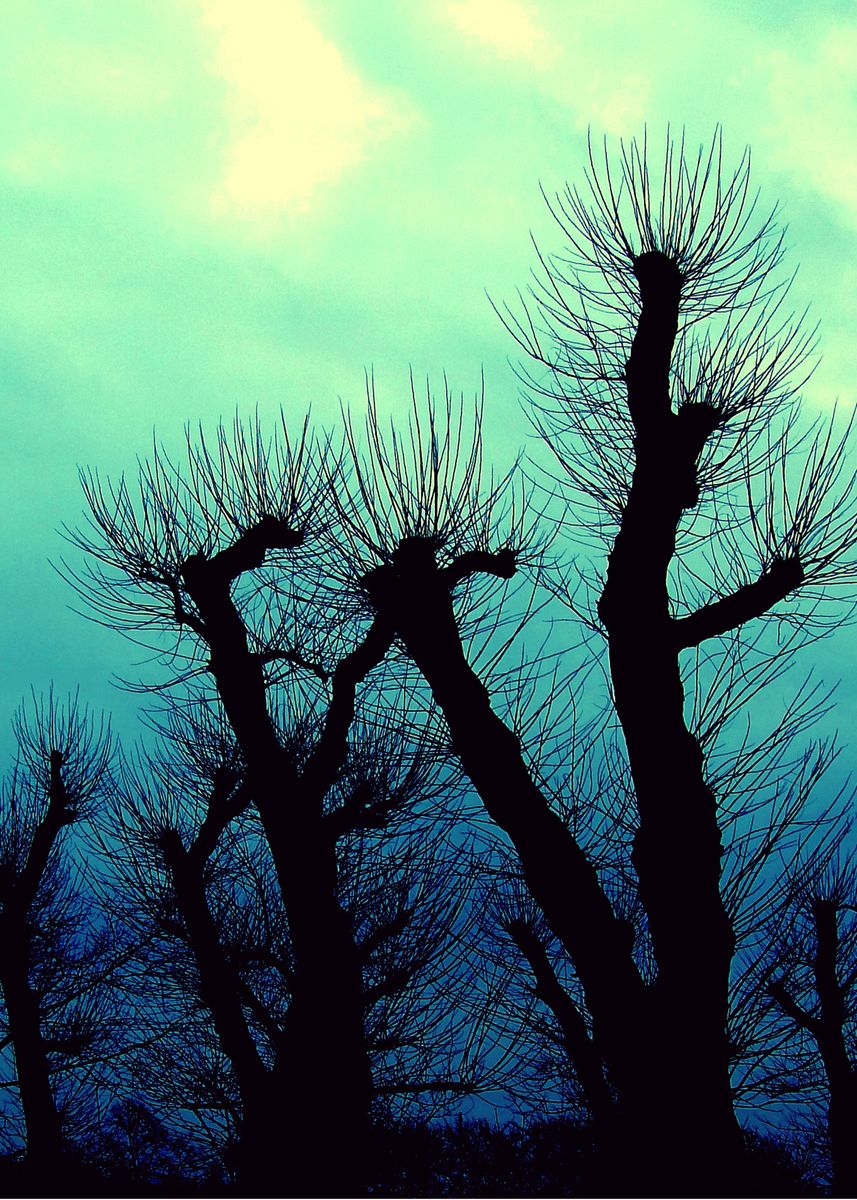 'Winter Dusk' Poster by Orett | Displate