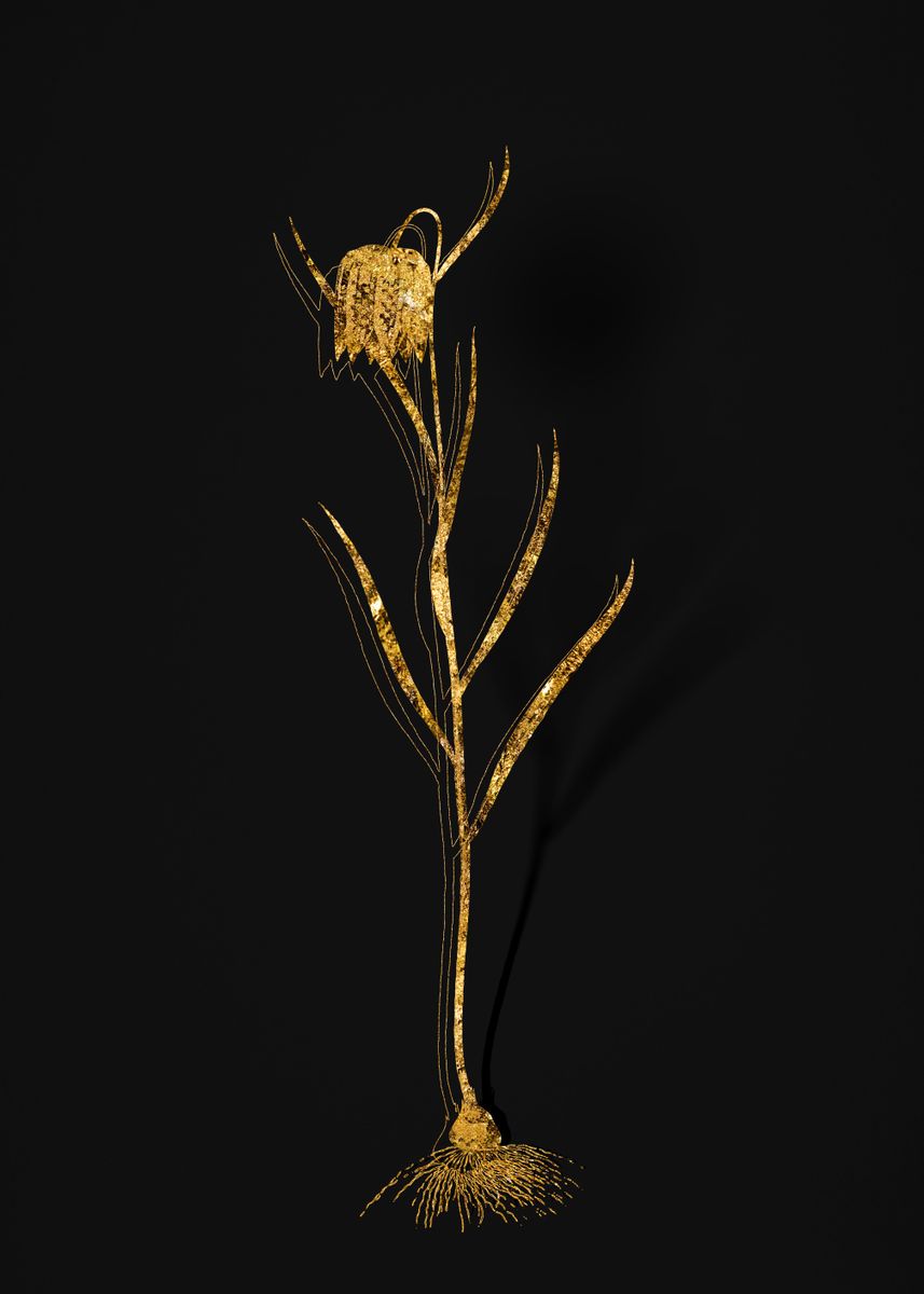 'Gold Botanical on Black' Poster by Holy Rock Design | Displate
