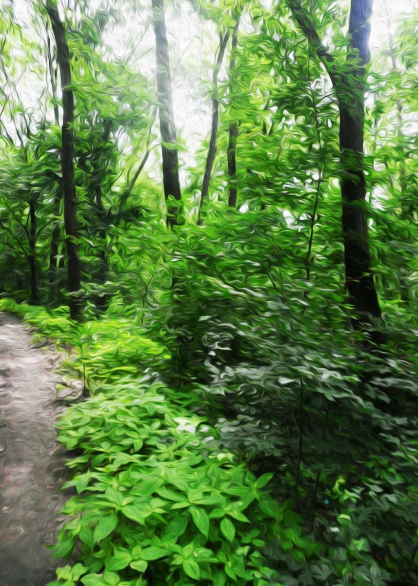 'Forest path' Poster, picture, metal print, paint by Edy Art Space ...