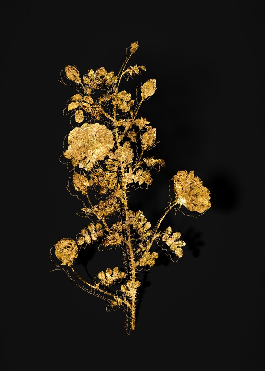 'Gold Flora on Black' Poster, picture, metal print, paint by Holy Rock ...