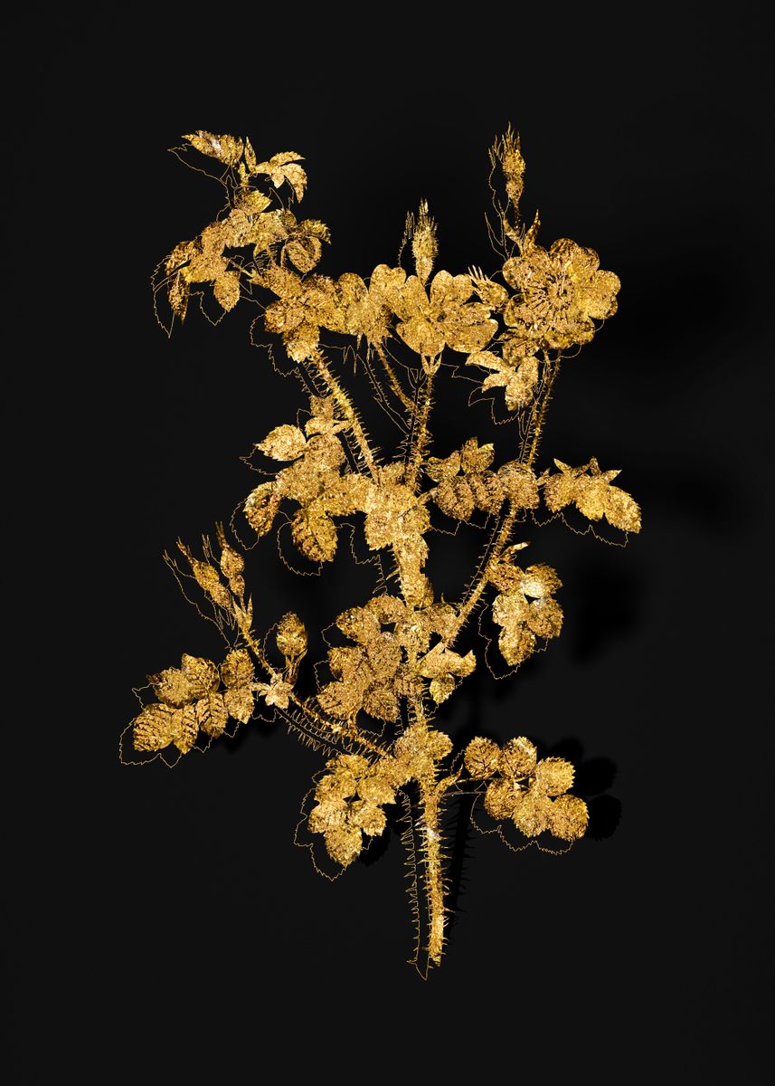 'Gold Flora on Black' Poster, picture, metal print, paint by Holy Rock ...