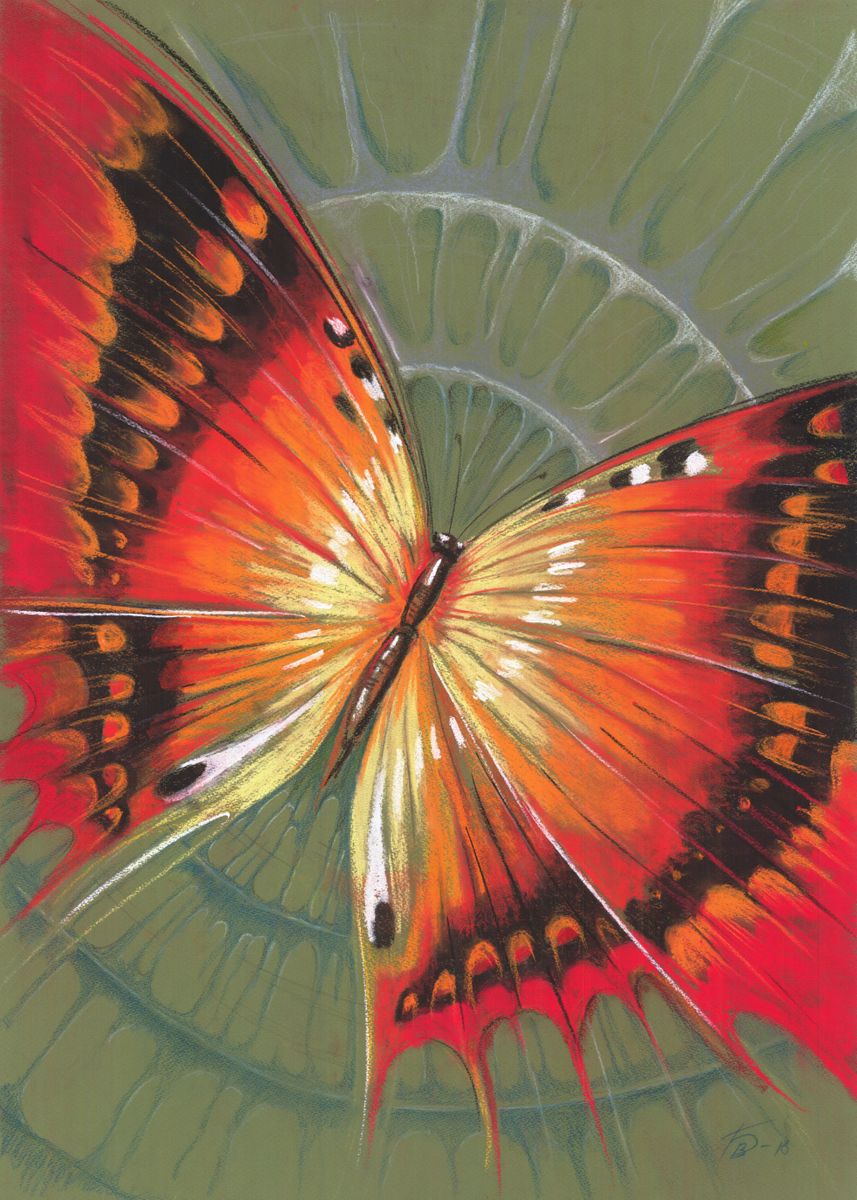 'Butterfly 3' Poster, picture, metal print, paint by Viktor Babak ...