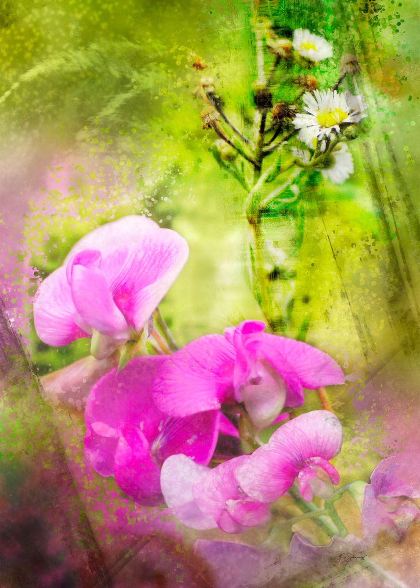 'Sweet peas' Poster, picture, metal print, paint by Allyson Schwartz ...