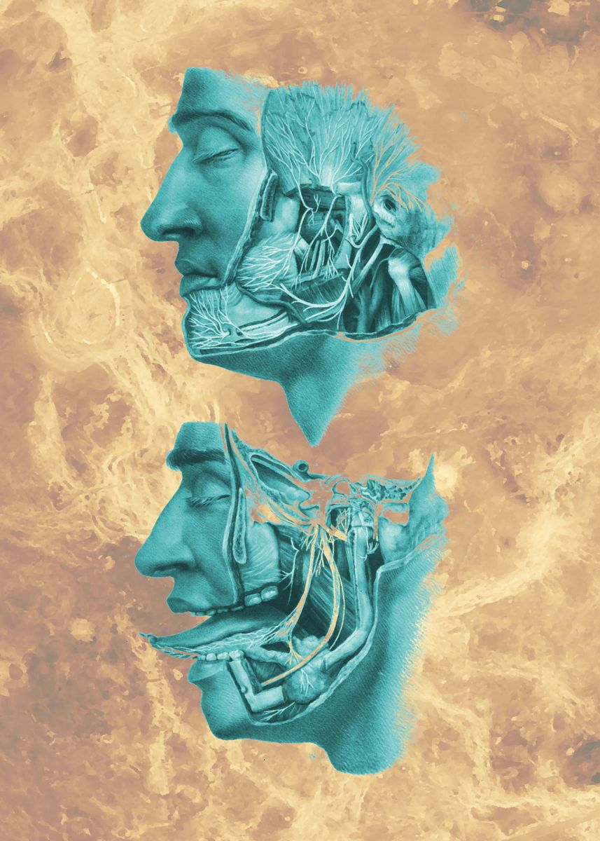 'Anatomy Design Mouth' Poster, picture, metal print, paint by ...