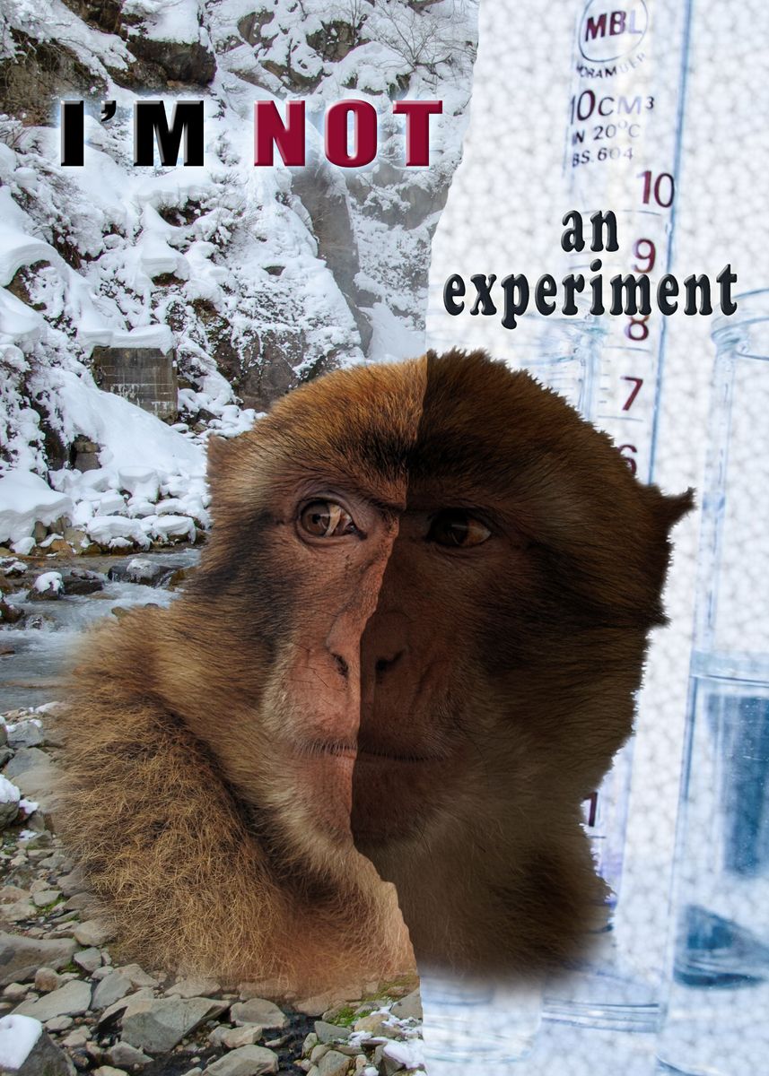 'I am not an experiment' Poster, picture, metal print, paint by ...