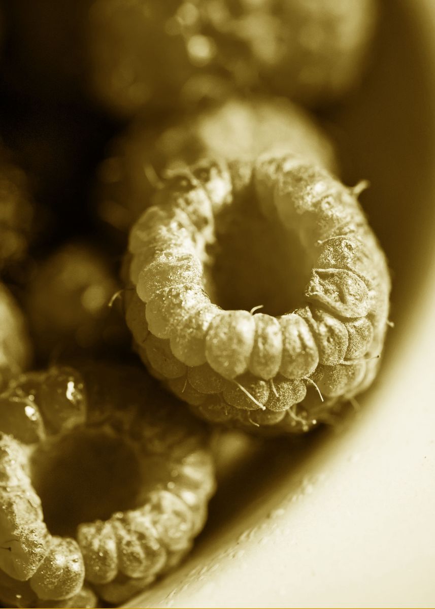 'Giant Raspberries Fruits' Poster, picture, metal print, paint by Dedy ...