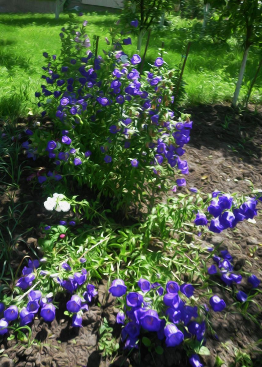 'Bells garden' Poster by Edy Art Space | Displate