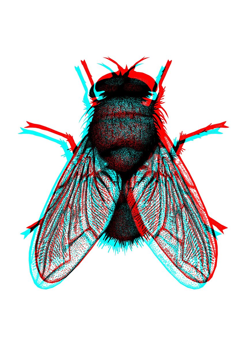 'Harbinger Fly' Poster, picture, metal print, paint by Garyck Arntzen ...