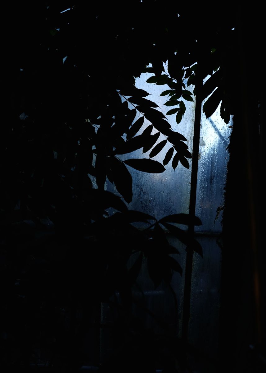 'Abstract Greenhouse Plants' Poster, picture, metal print, paint by ...