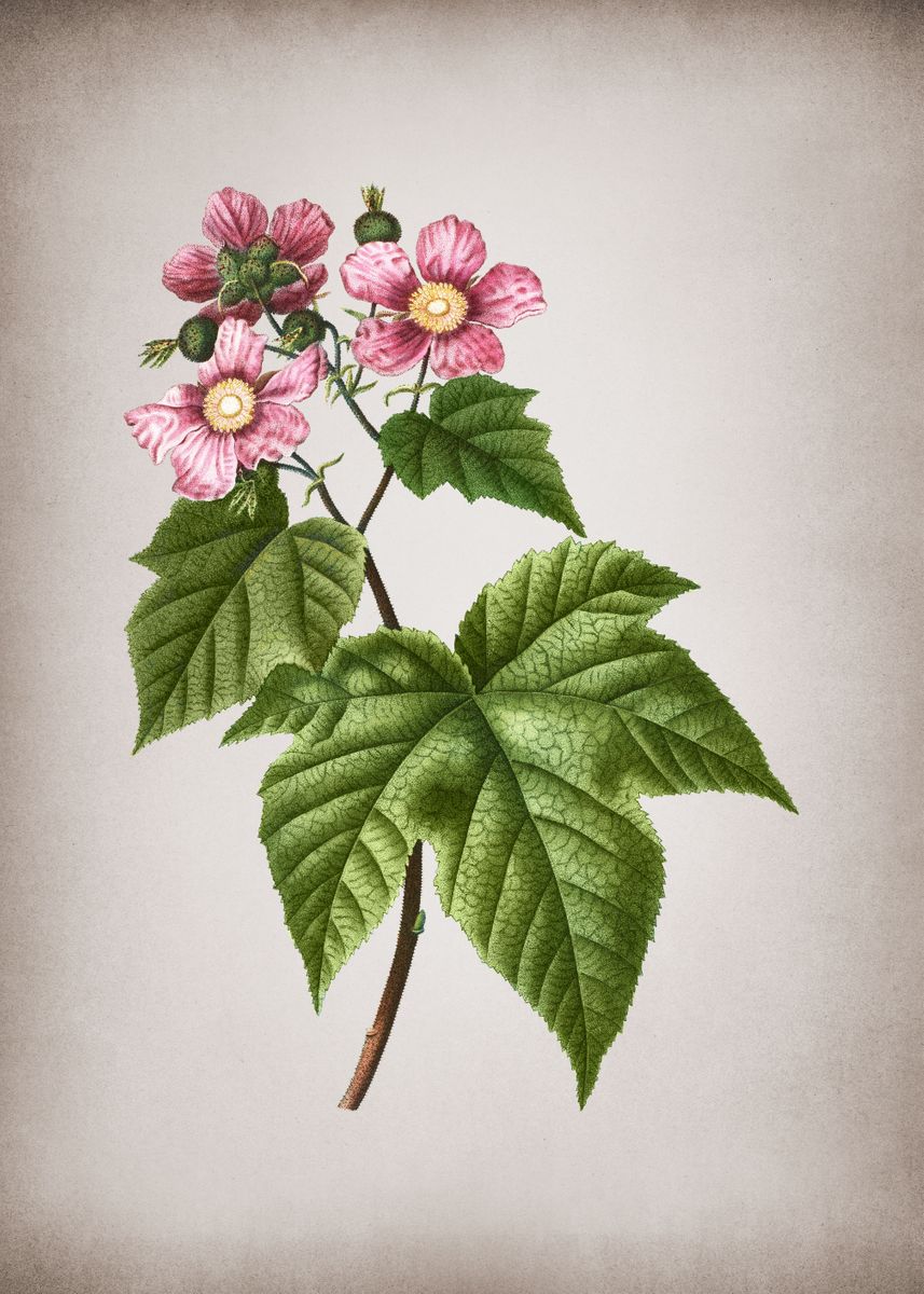 'Vintage Purple Raspberry' Poster, picture, metal print, paint by Holy ...