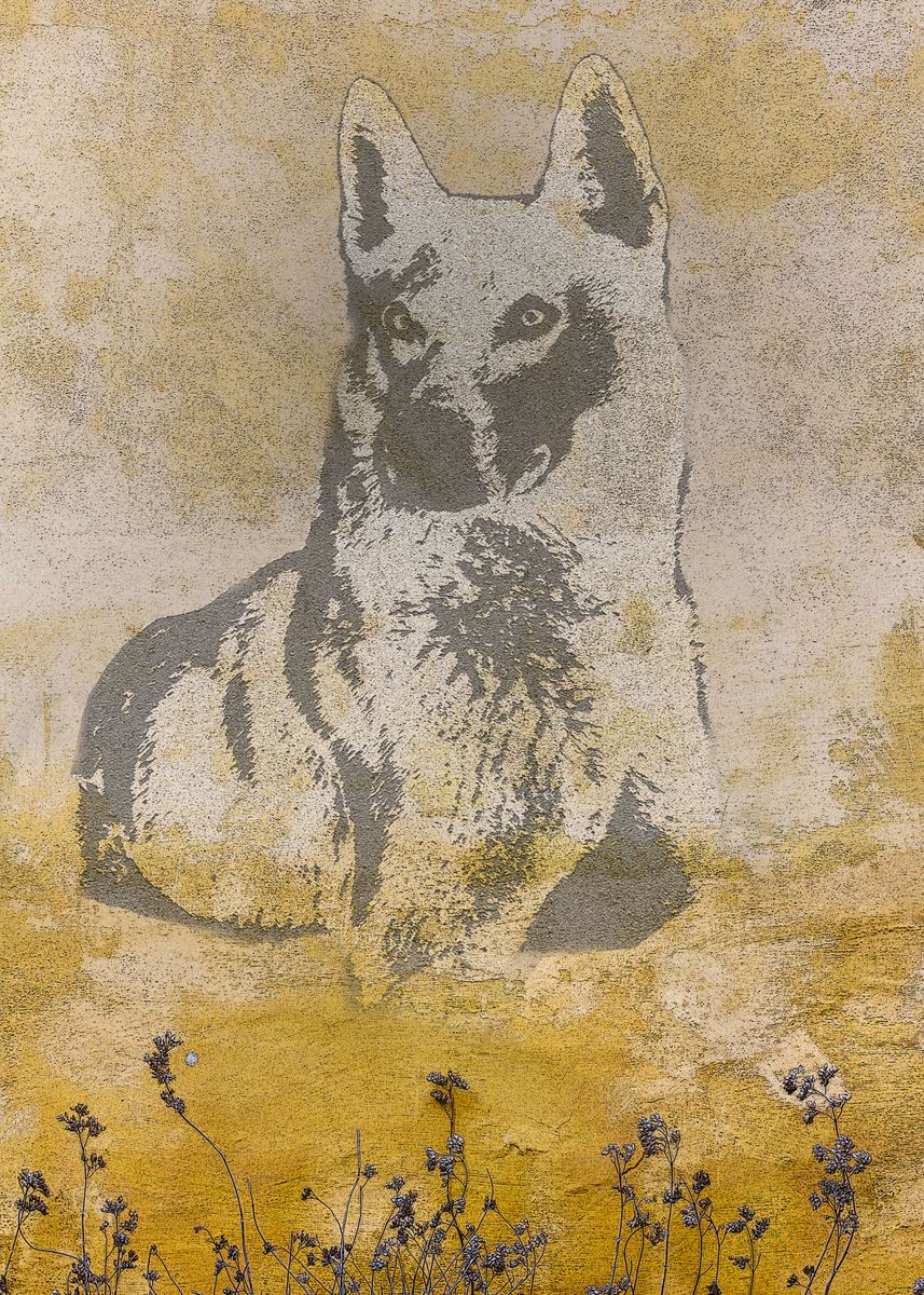 'Coal dog' Poster, picture, metal print, paint by Photo Editorials ...