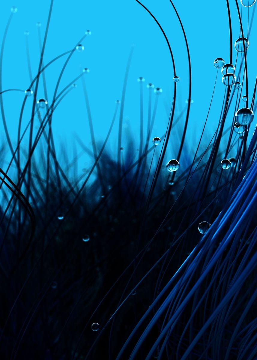 'The dew' Poster, picture, metal print, paint by Aivaras Grauzinis ...