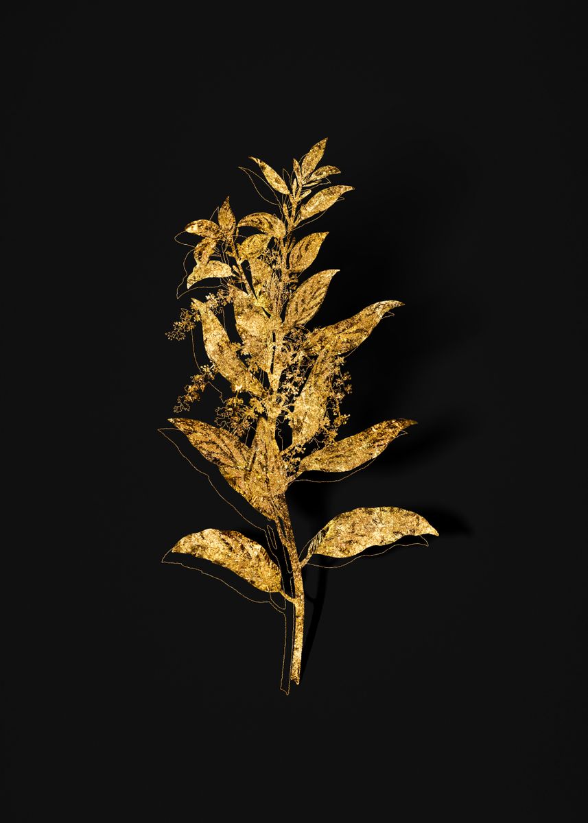 'Gold Flora on Black' Poster, picture, metal print, paint by Holy Rock ...