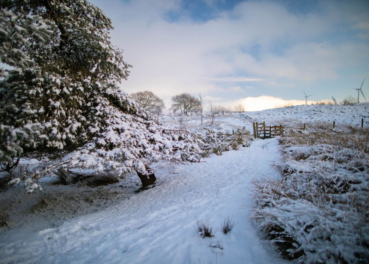 'Snowfall landscape' Poster by Darklemoner | Displate