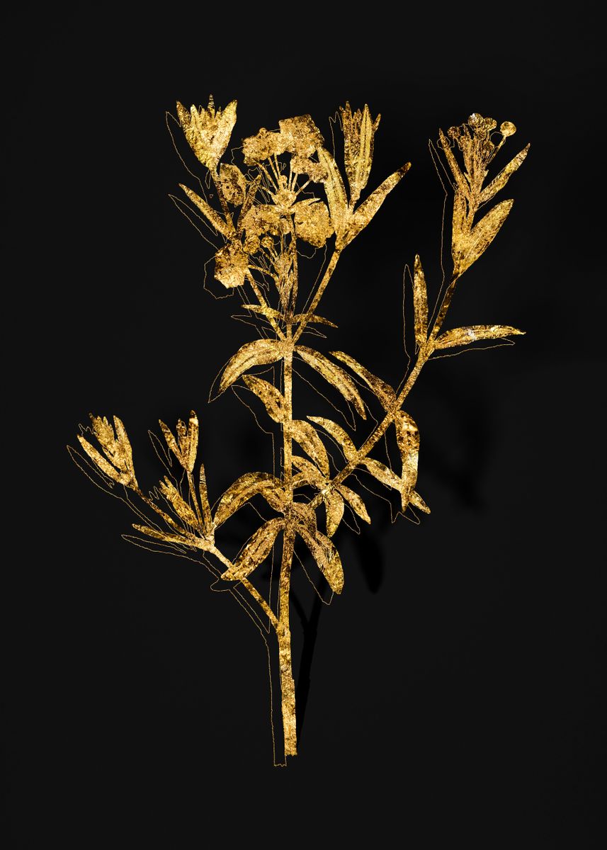 'Gold Botanical on Black' Poster by Holy Rock Design | Displate