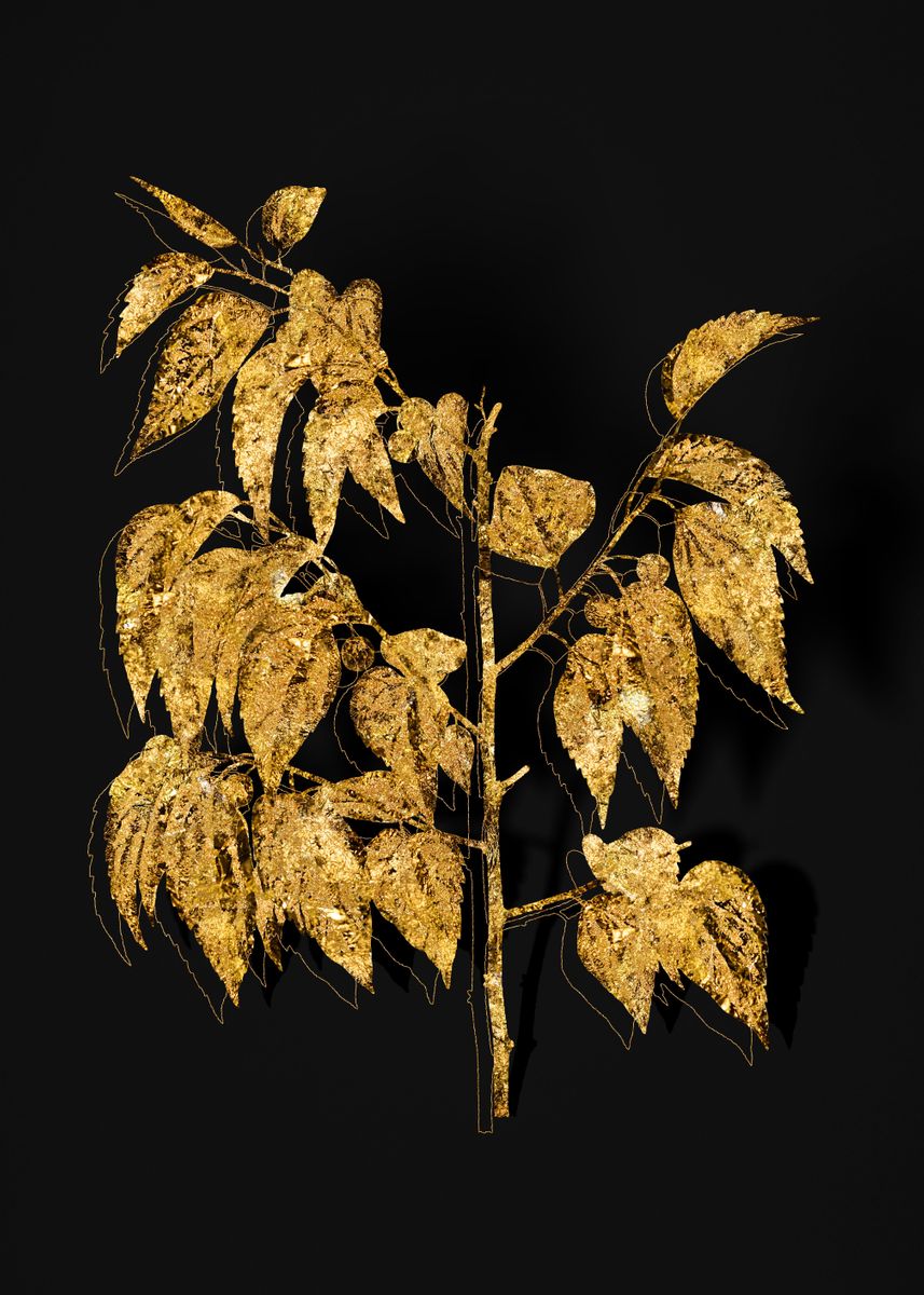 'Gold Botanical on Black' Poster by Holy Rock Design | Displate