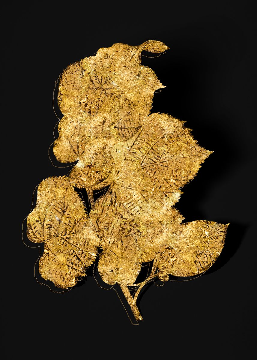 'Gold Botanical on Black' Poster by Holy Rock Design | Displate