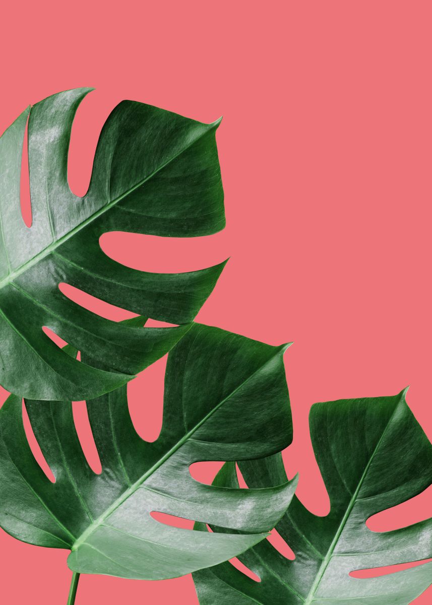 'Tropical leaves VI' Poster, picture, metal print, paint by Vitor Costa ...