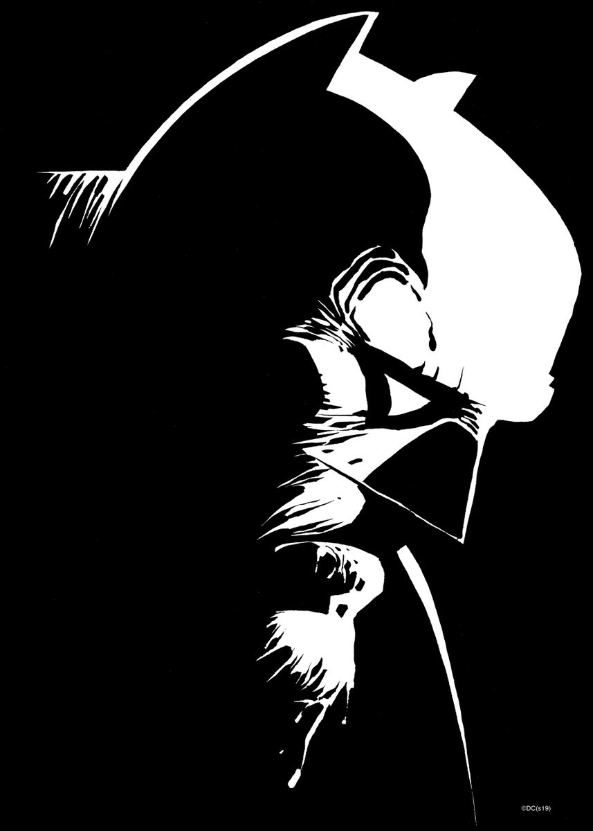 'Black and White Bat' Poster, picture, metal print, paint by DC Comics ...