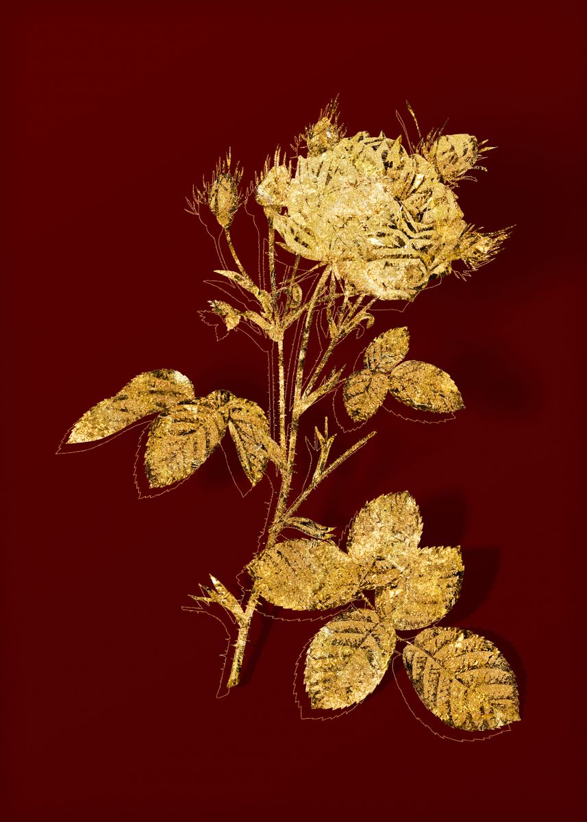 'Gold Botanical on Red' Poster by Holy Rock Design | Displate