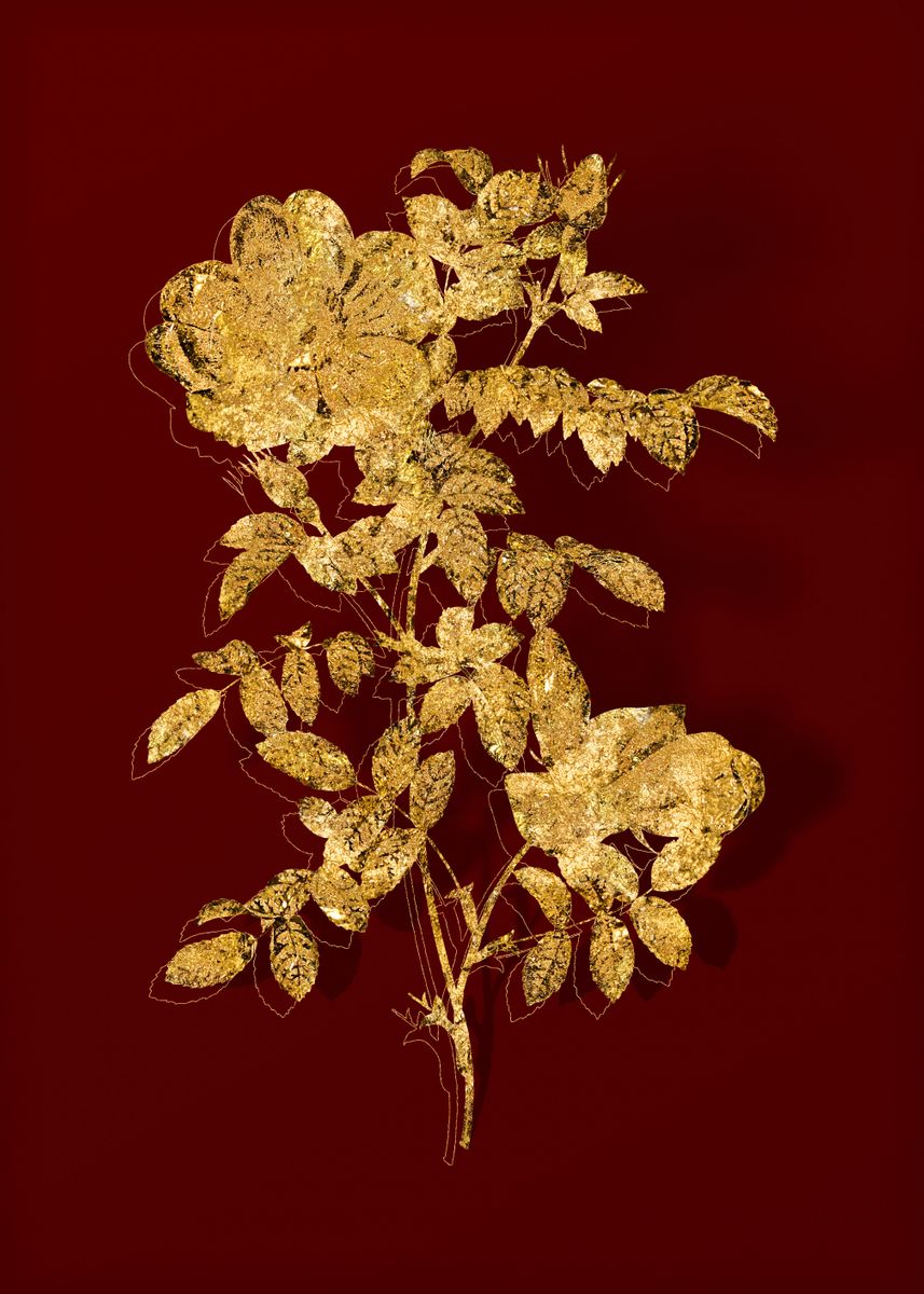 'Gold Botanical on Red' Poster by Holy Rock Design | Displate