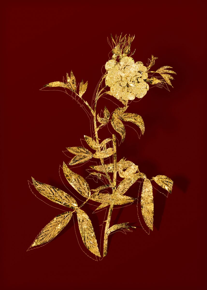 'Gold Botanical on Red' Poster by Holy Rock Design | Displate