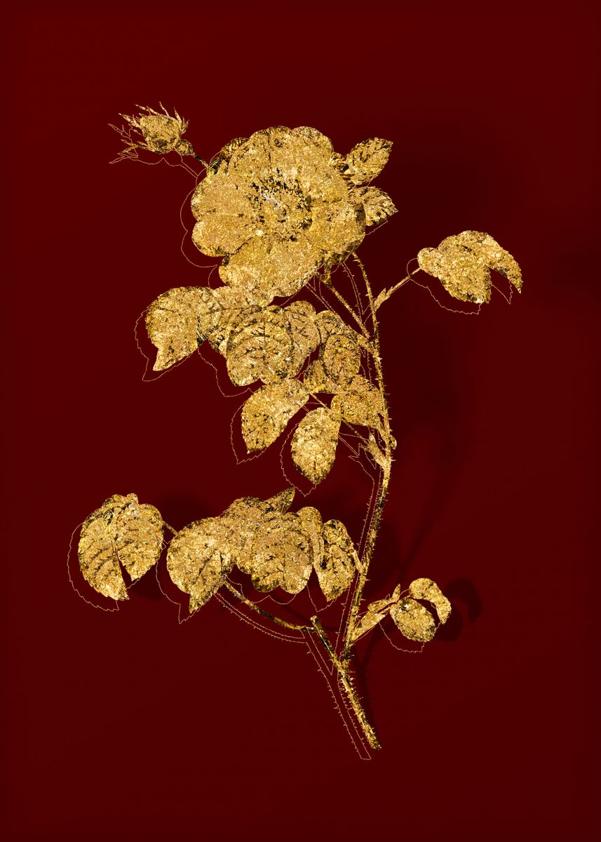 'Gold Botanical on Red' Poster by Holy Rock Design | Displate