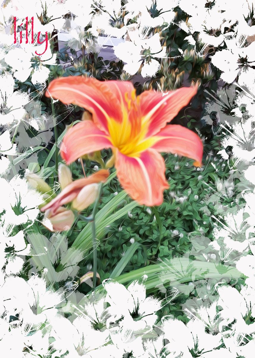 'White lilly' Poster, picture, metal print, paint by Edy Art Space ...