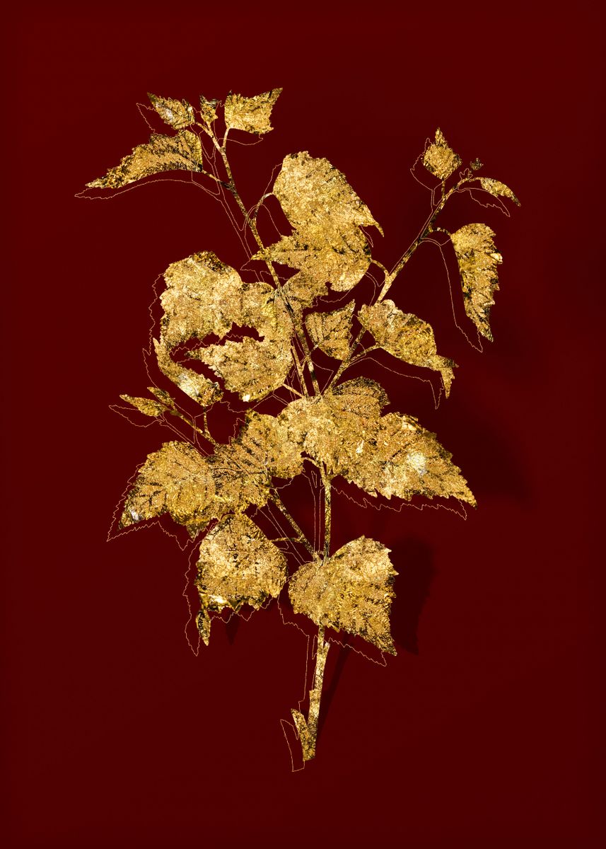 'Gold Botanical on Red' Poster by Holy Rock Design | Displate
