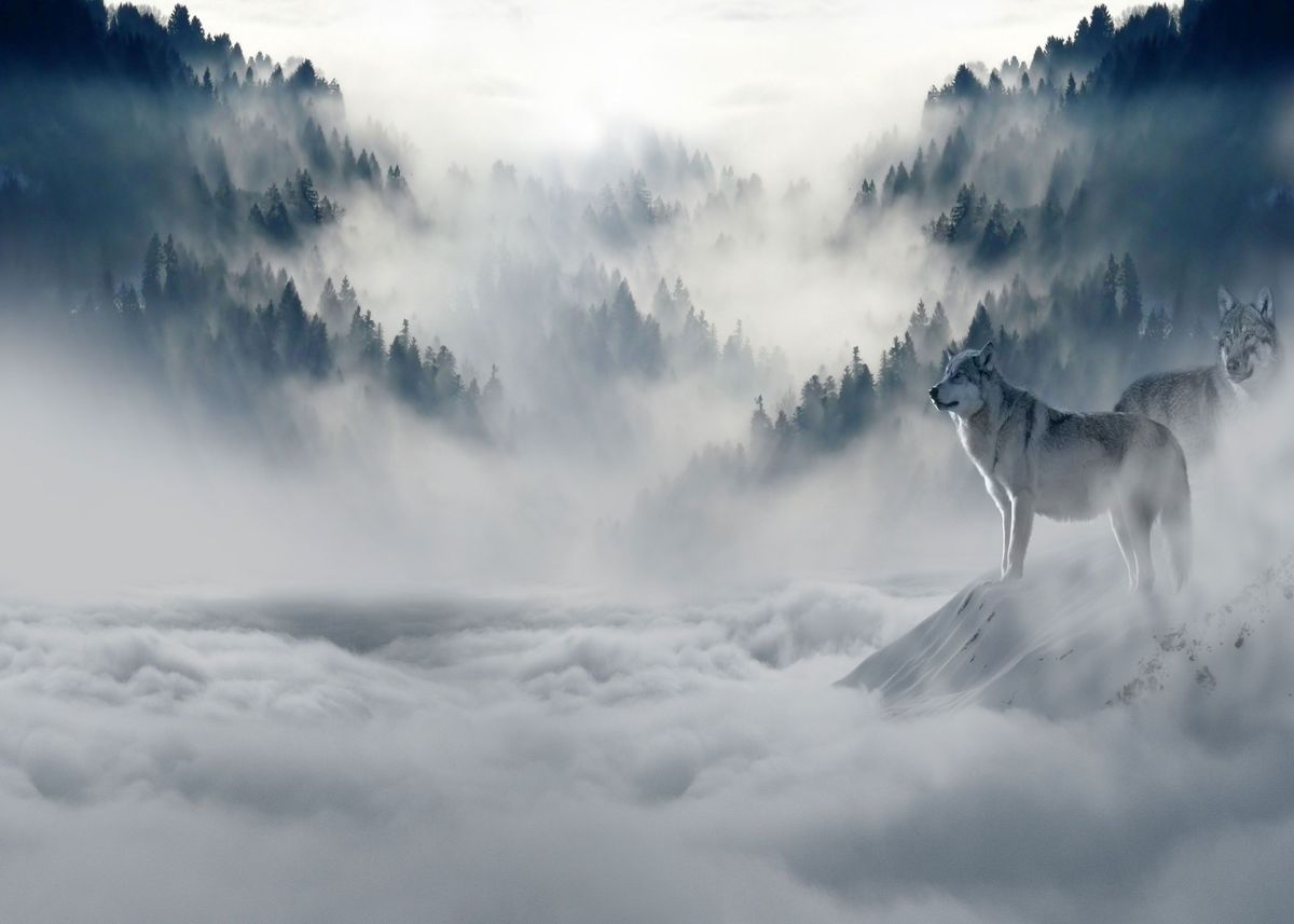 'Wolves in Foggy Forest' Poster by DawoodKh | Displate