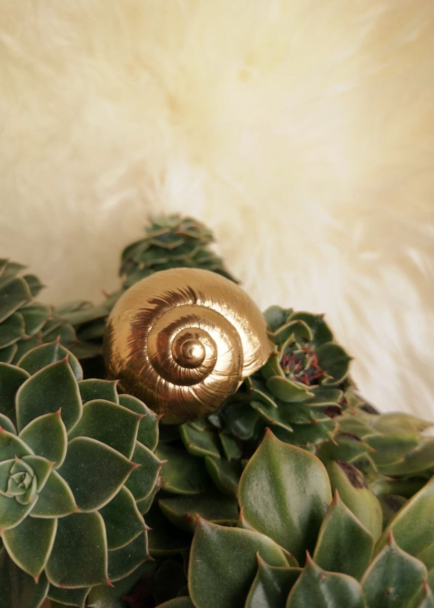 'Snail green succulent' Poster, picture, metal print, paint by ...