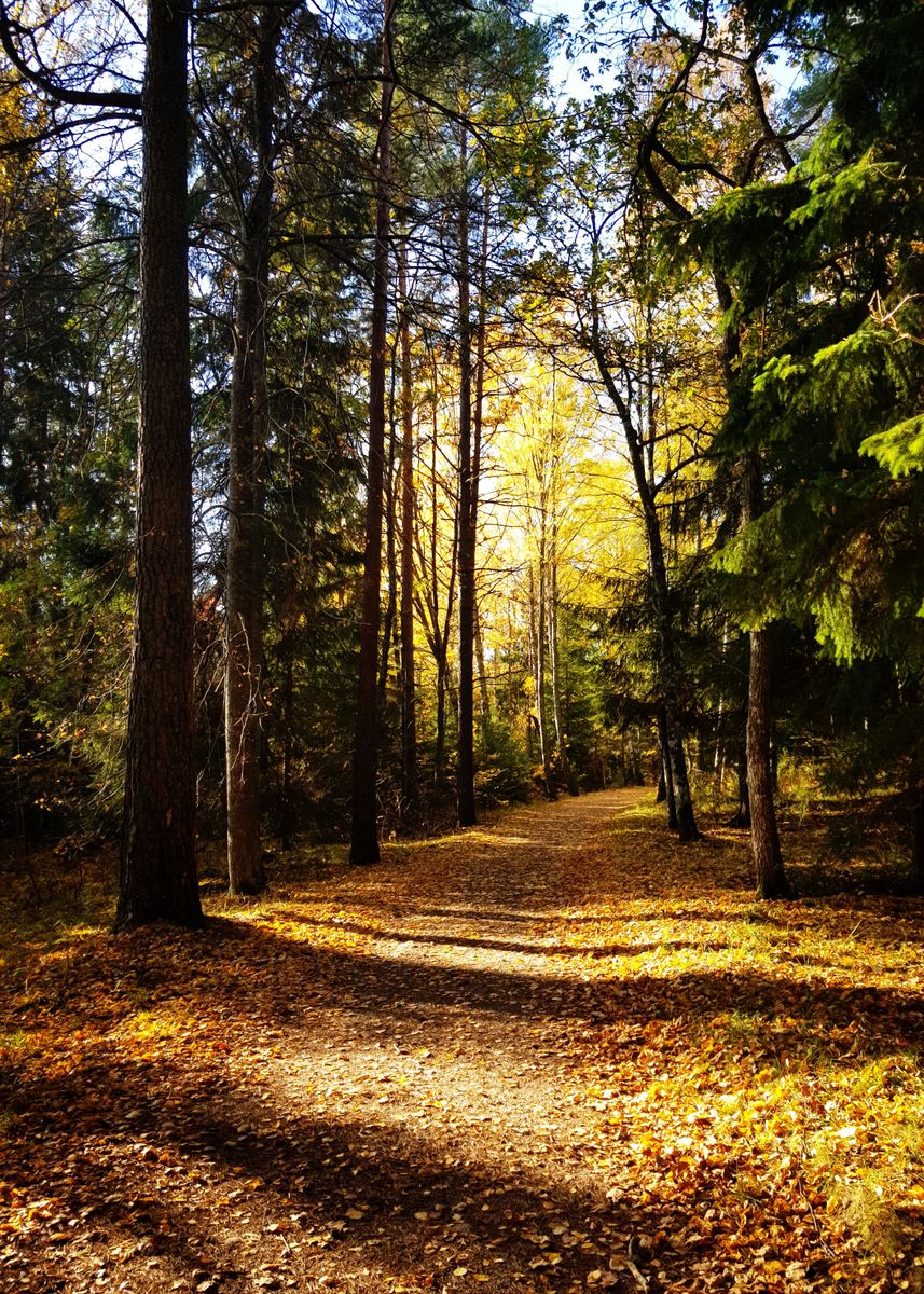 'Path to Nowhere' Poster, picture, metal print, paint by Julia Nord ...