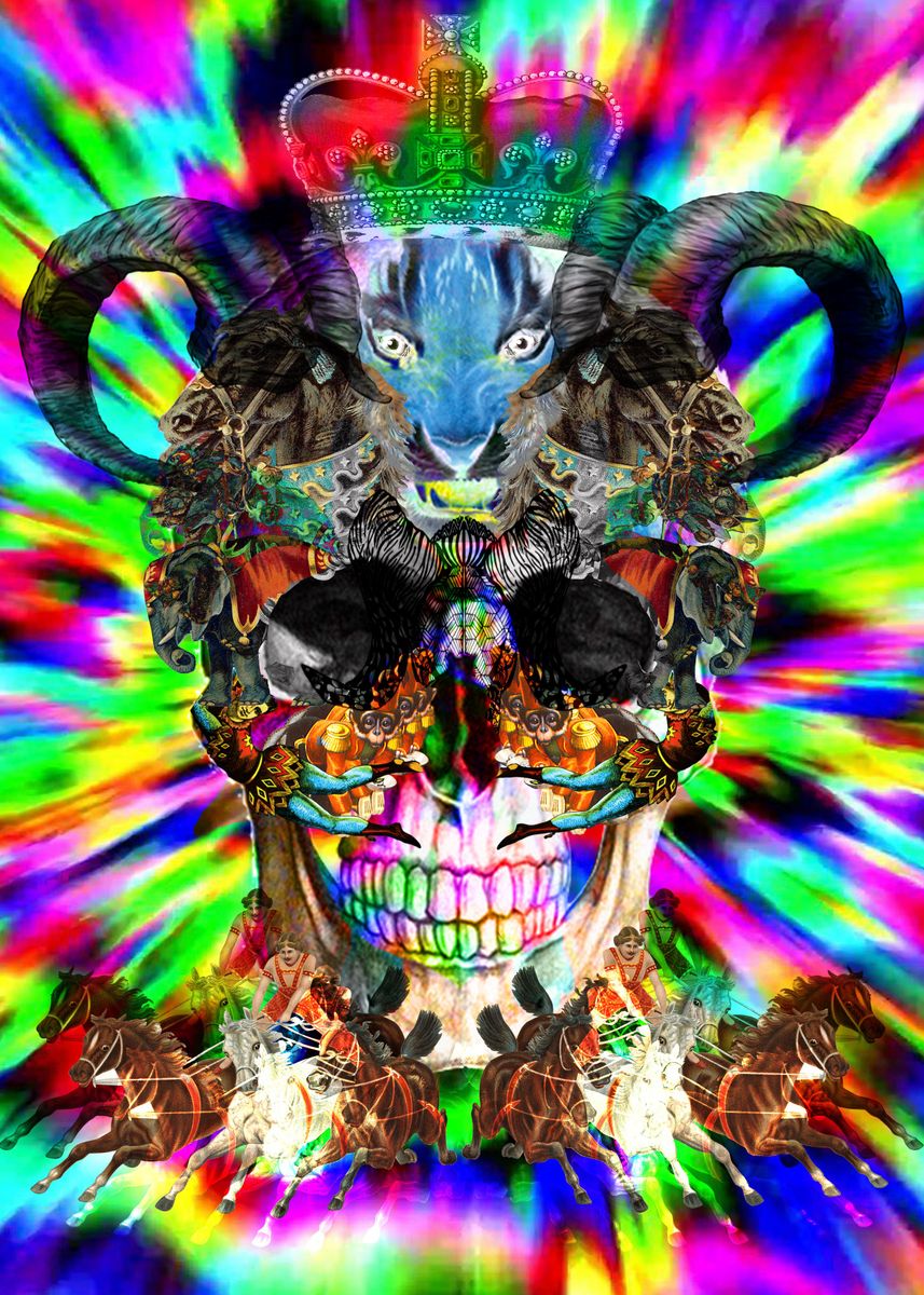'Acid Skull' Poster, picture, metal print, paint by Murat Can Süygün ...