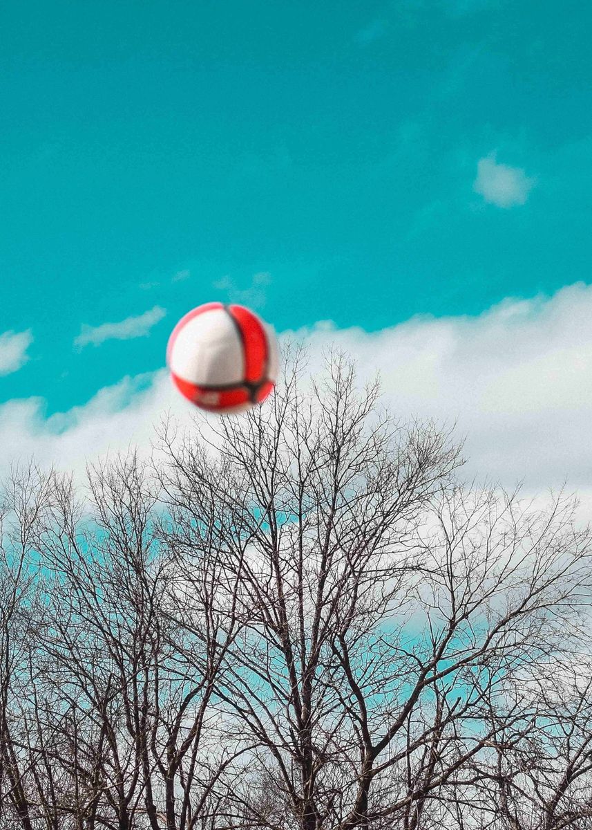 'Normal In The Unnormal' Poster by Dane Shuler | Displate