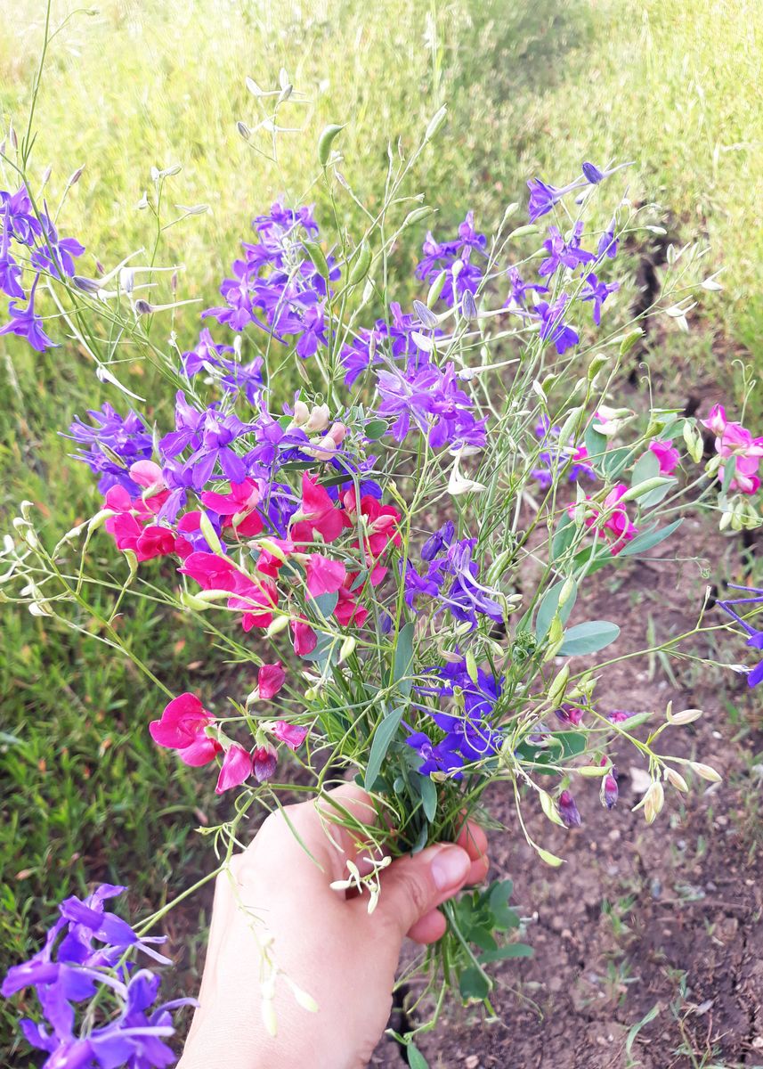 'Violet June bouquet' Poster, picture, metal print, paint by Edy Art ...