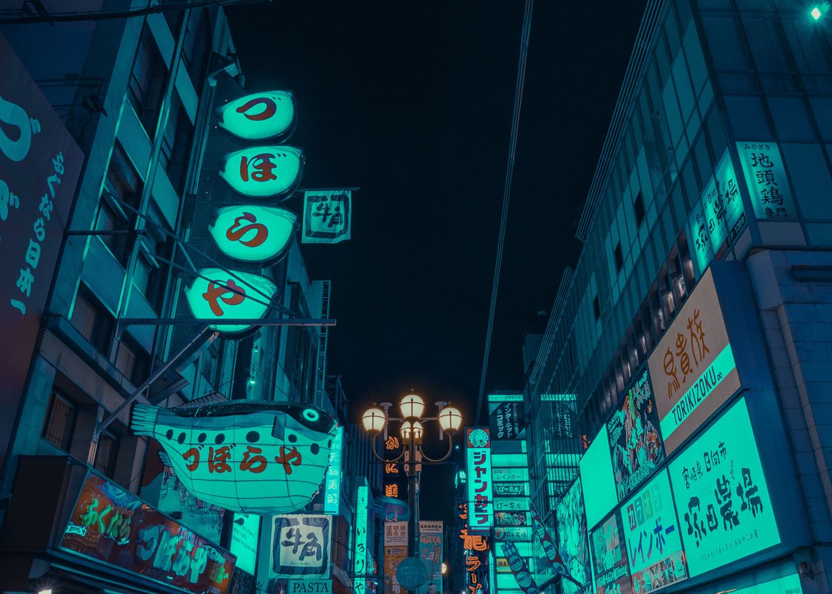 'Osaka Midnight Runner' Poster by Pixeptional Photography | Displate