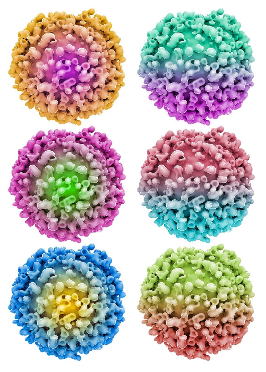 'Organic cells' Poster, picture, metal print, paint by Maurizio De ...