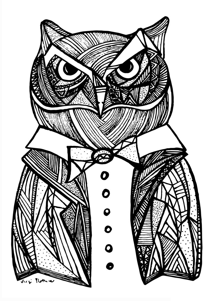 'BUHO' Poster, picture, metal print, paint by Virginia Plottier | Displate