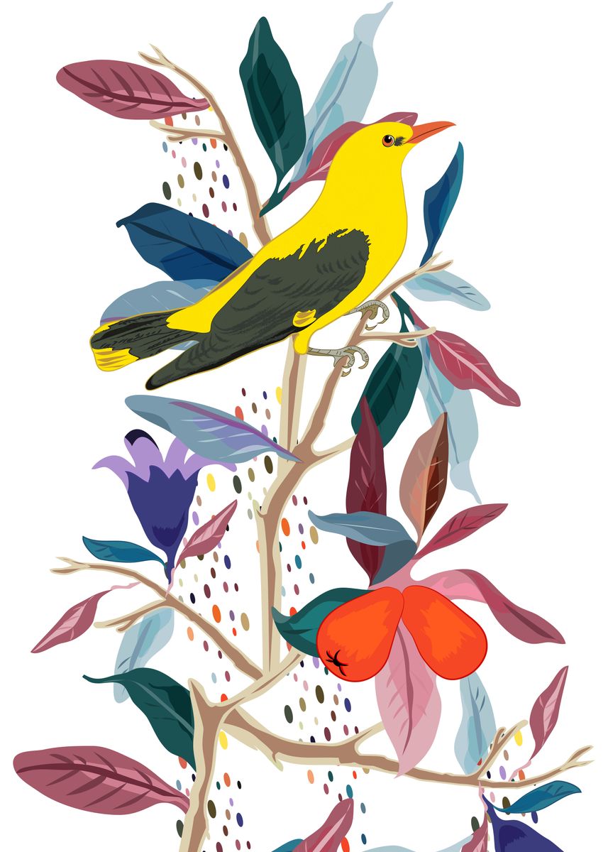'Eurasian Golden Oriole ' Poster by Famenxt DB | Displate
