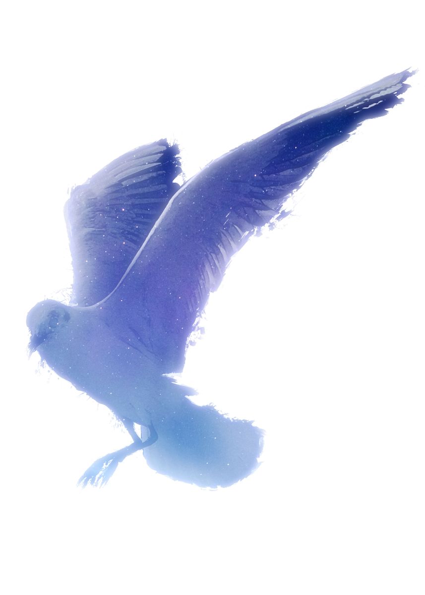 'Blue Seagull' Poster by Patrick Geiss | Displate