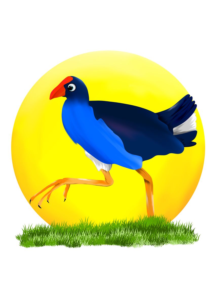 'Pukeko New Zealand Bird' Poster, picture, metal print, paint by ...