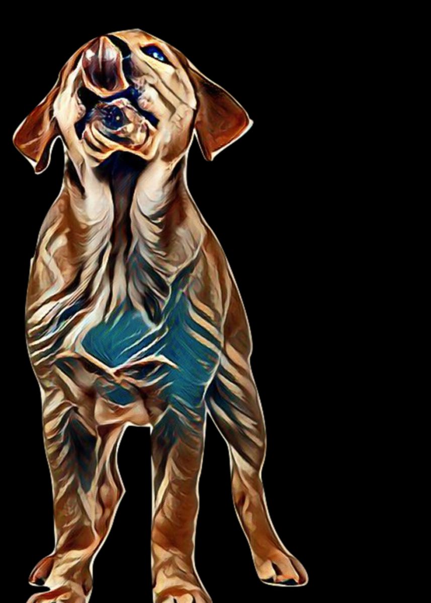 'dog animal begging' Poster, picture, metal print, paint by kemnabi ...