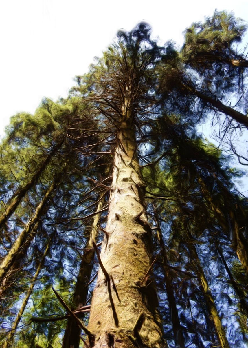 'Ancient Awe' Poster, picture, metal print, paint by Enigma Art | Displate