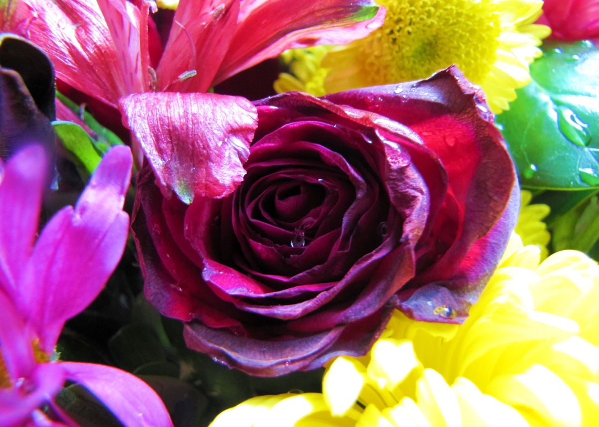 'Flower Garden' Poster by Cori Martin | Displate